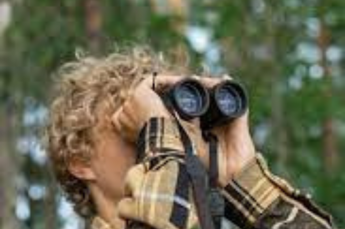 Bird Walk: Peak Migration