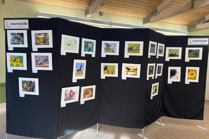 Parks and Recreation Events