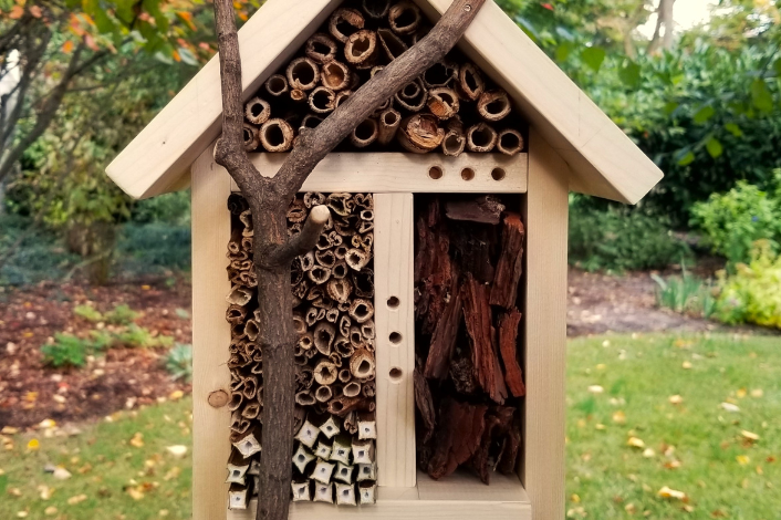 Build-a-Bug House Workshop